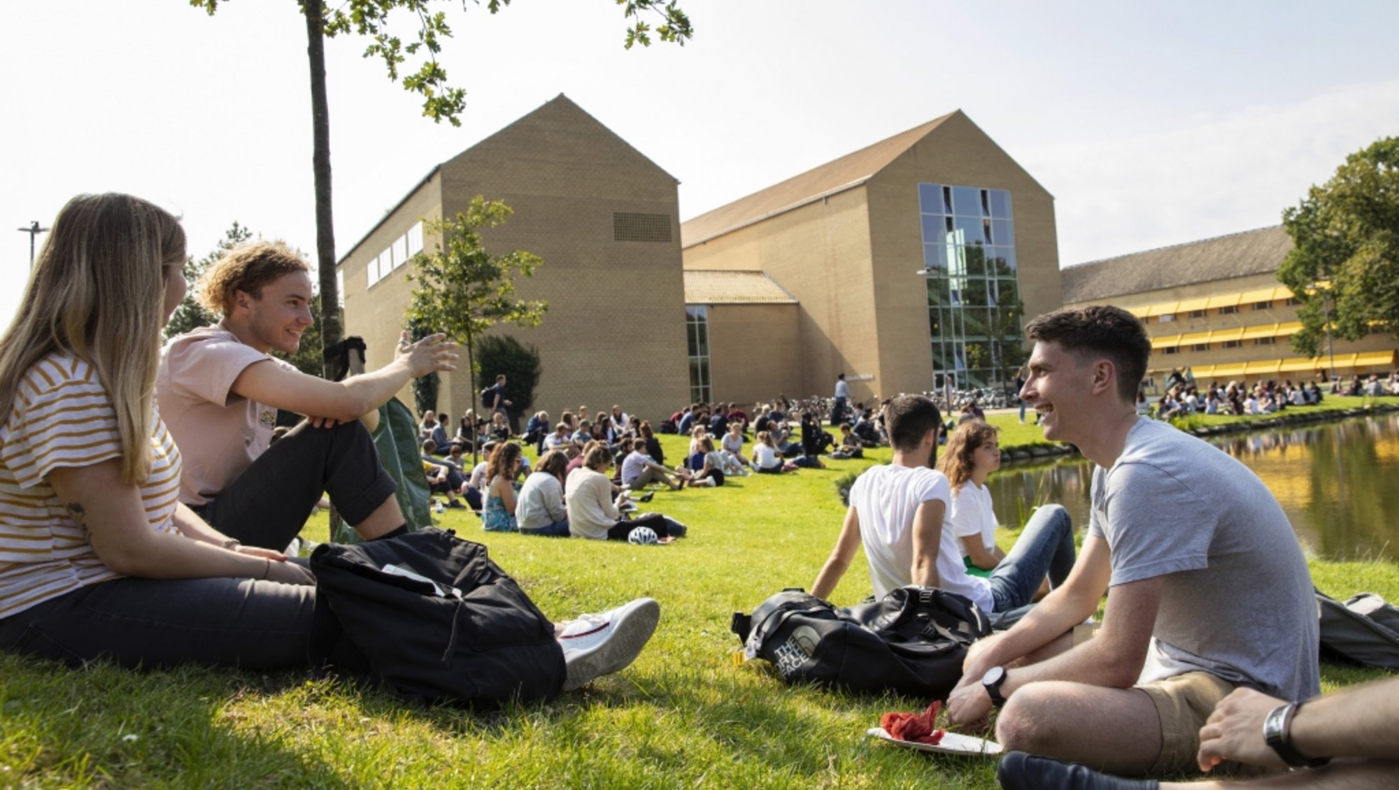 Aarhus University: Top-Ranked Programs, Global Impact
